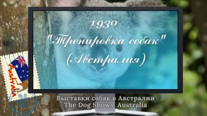 История собаководства в Австралии