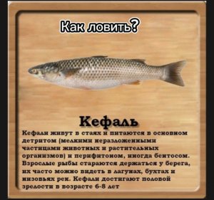 Река Кубань, реальная рыбалка.
