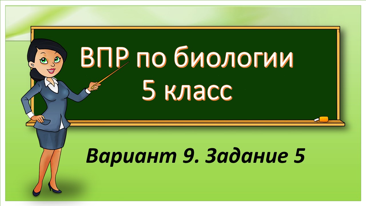 ВПР по биологии 5 класс – смотреть онлайн все 2 видео от ВПР по биологии 5  класс в хорошем качестве на RUTUBE