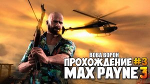 Max Payne 3