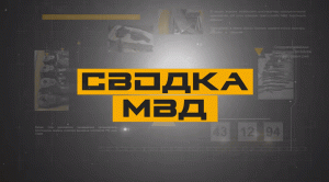 Сводка МВД