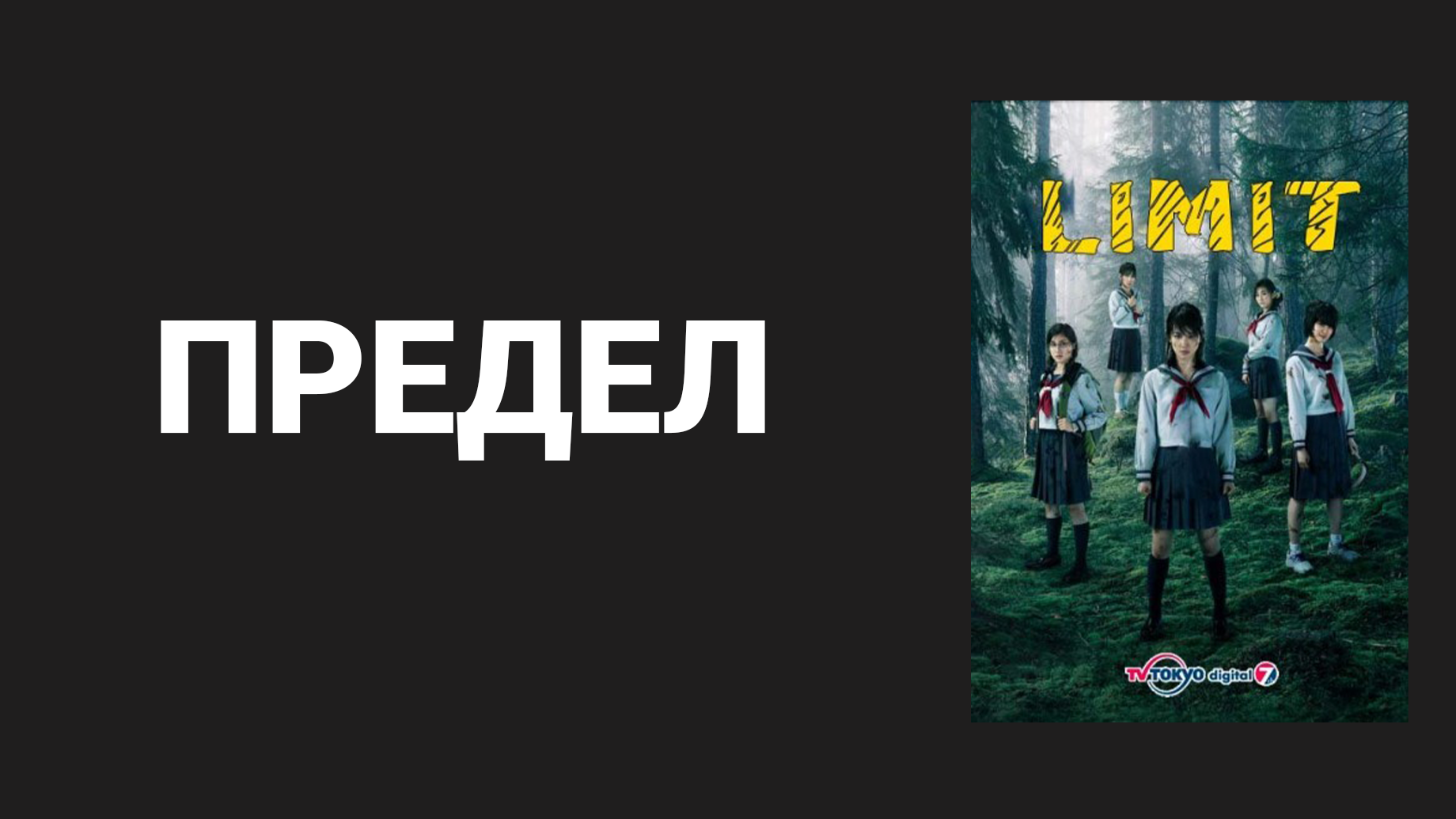 Предел (дорама, 2013) – смотреть онлайн все 12 видео от Предел (дорама, 2013)  в хорошем качестве на RUTUBE