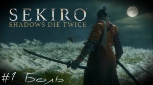 Sekiro Shadows Die Twice