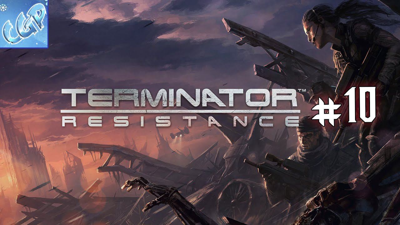 Terminator Resistance