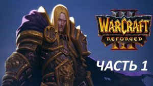 WARCRAFT REFORGED