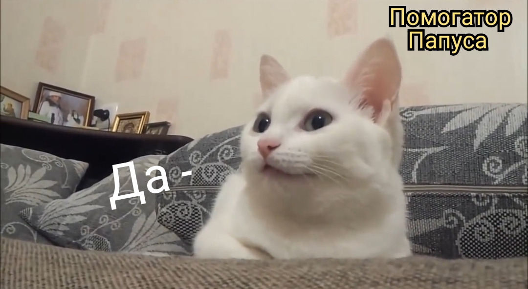 Говорящие коты 😻🐱😻 – смотреть онлайн все 2 видео от Говорящие коты  😻🐱😻 в хорошем качестве на RUTUBE