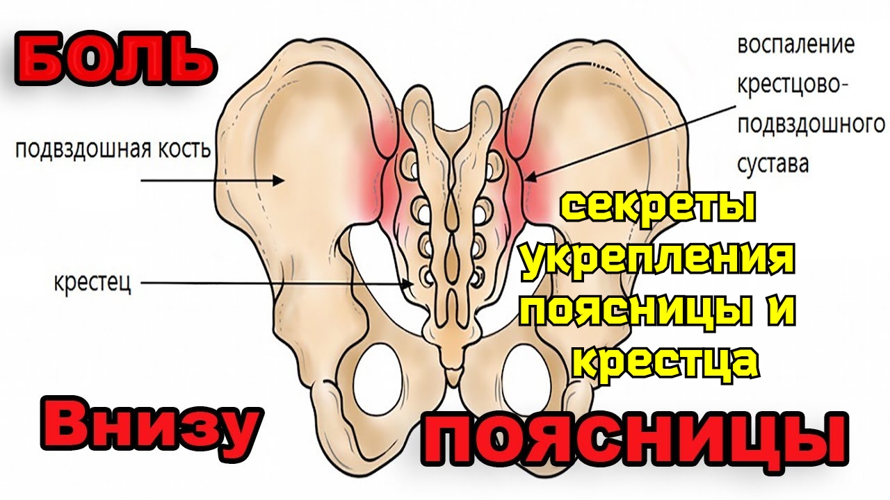 Поясница, крестец, копчик – смотреть онлайн все 7 видео от Поясница,  крестец, копчик в хорошем качестве на RUTUBE