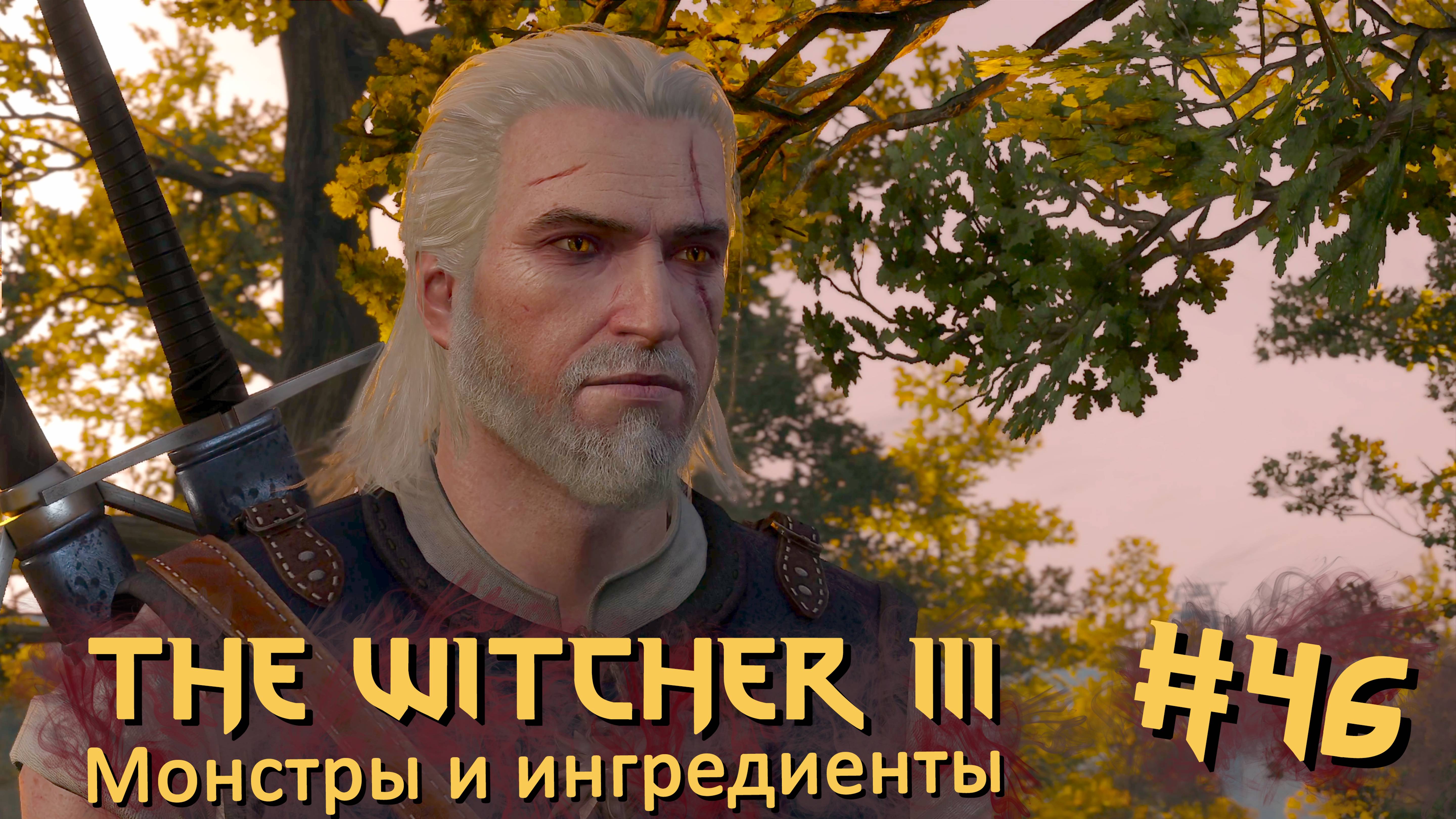 The Witcher 3 / Ведьмак 3 [Прохождение] | Play GH