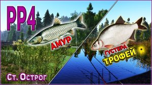 Русская Рыбалка 4 / РР4 / Russian Fishing 4