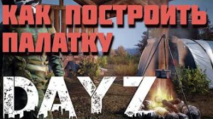 Гайды по игре DayZ для новичков