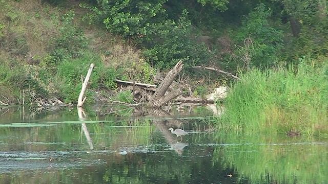 Любительское порно: Порнуху в городе белая Калитва русская с маленькими сиськами (страница 8)