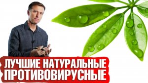 Иммунитет.: повышение иммунитета.