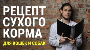 Ветеринарный врач Дмитрий Русаков х SUPERPET