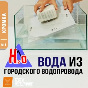 ФинистТест