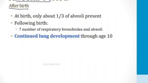 17/17 - ДЫХАТЕЛЬНАЯ СИСТЕМА (для USMLE 2022): серия Boards &amp; Beyond - Pulmonary (STEP 1)