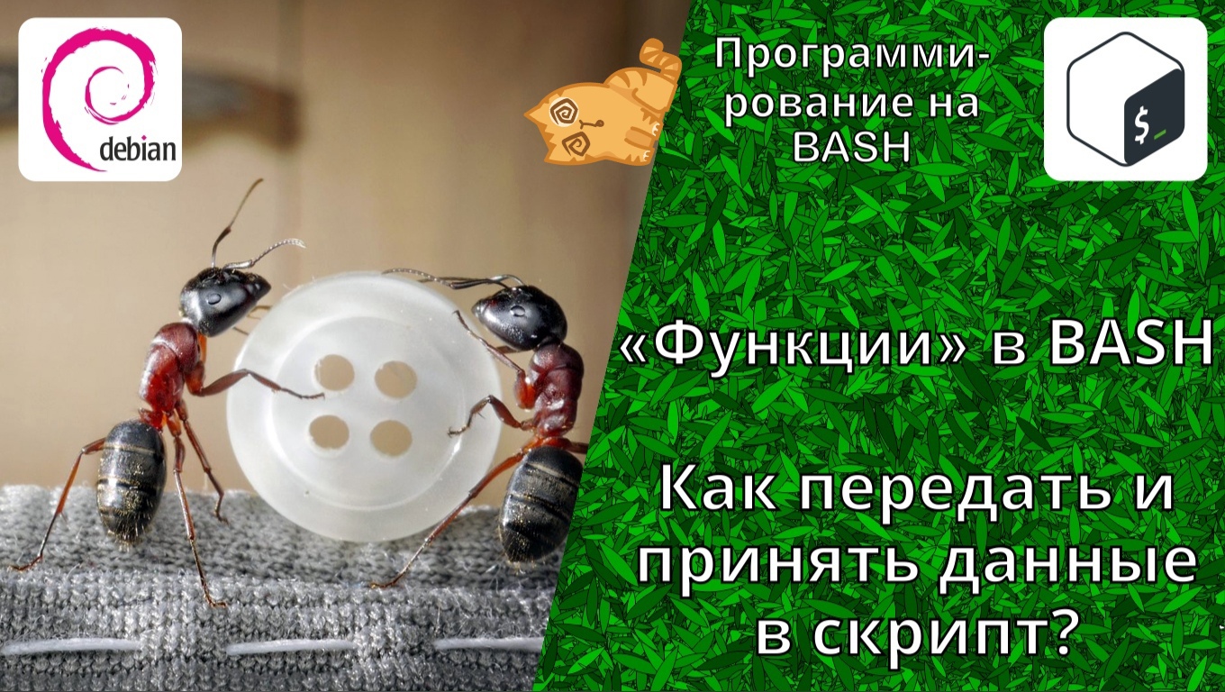 Программирование на BASH