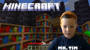 Игровые видео Майнкрафт (Minecraft)