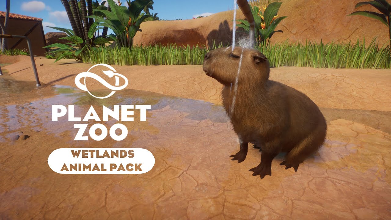 Planet Zoo: DLC Wetlands Animal Pack – смотреть онлайн все 6 видео от Planet  Zoo: DLC Wetlands Animal Pack в хорошем качестве на RUTUBE