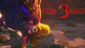 Des on «SHADOW WARRIOR 3»