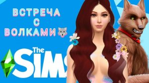СИМС 4 (The Sims 4)