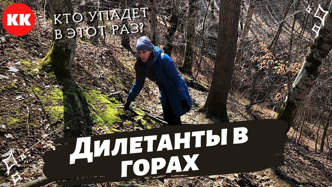 Краснодарский край – смотреть онлайн все 17 видео от Краснодарский край в  хорошем качестве на RUTUBE