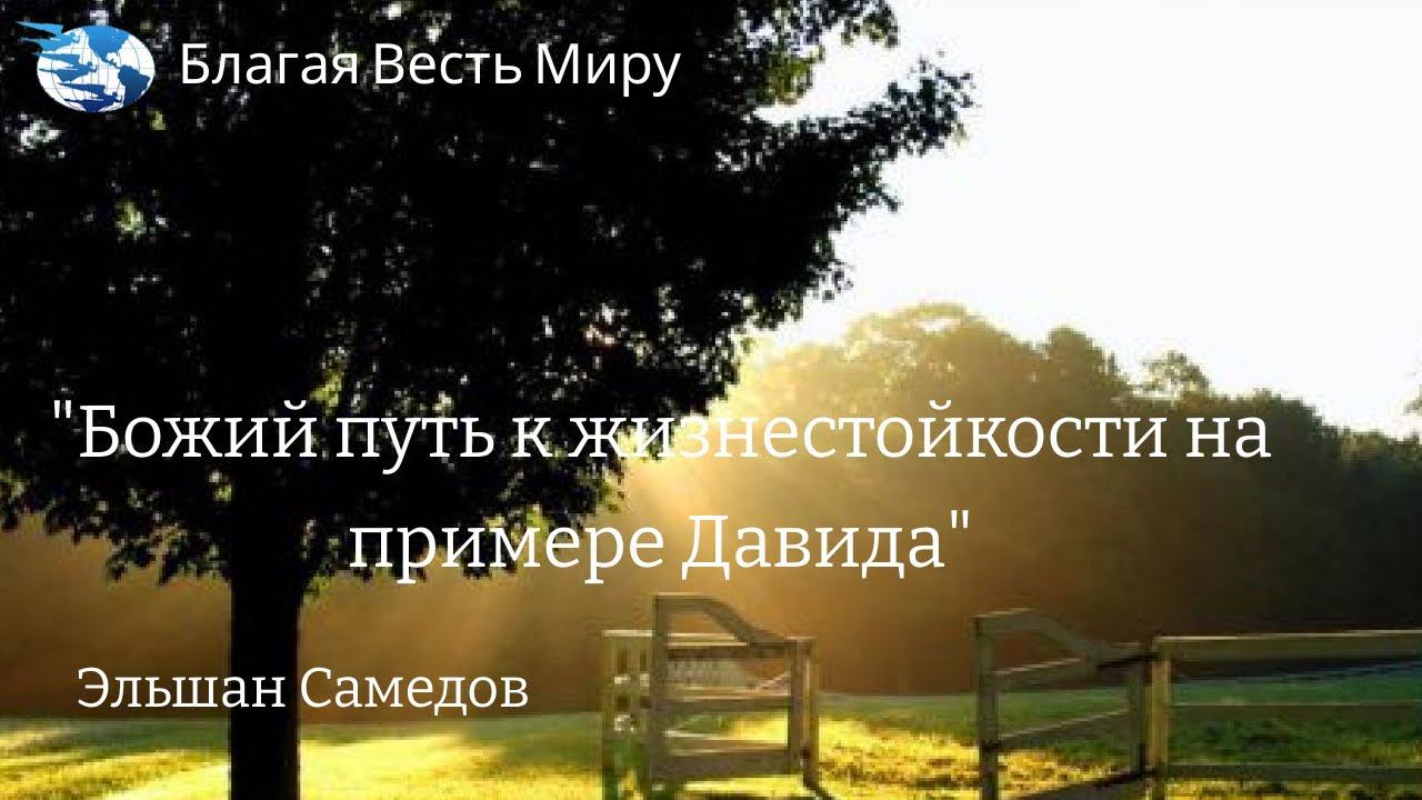 Эльшан Самедов