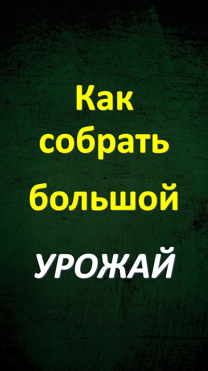 Доброе утро – смотреть онлайн все 150 видео от Доброе утро в хорошем  качестве на RUTUBE