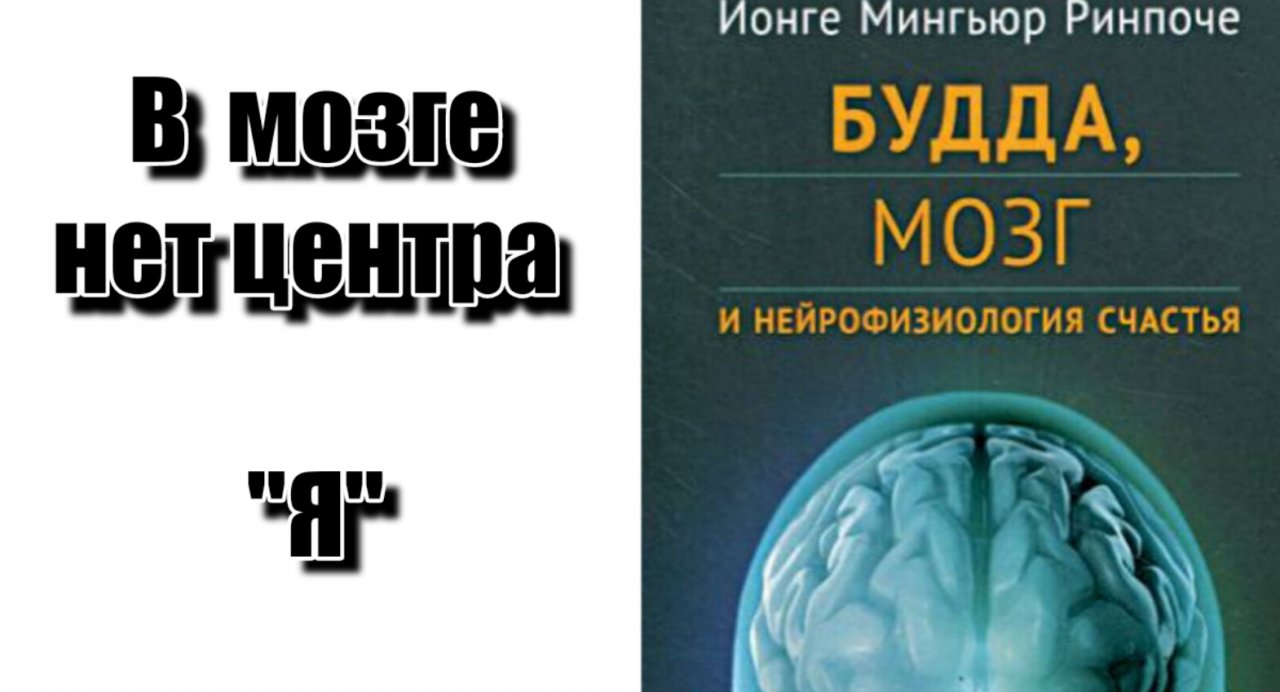 Буддизм и нейрофизиология – смотреть онлайн все 4 видео от Буддизм и  нейрофизиология в хорошем качестве на RUTUBE