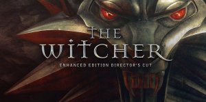 The Witcher Enhanced Edition