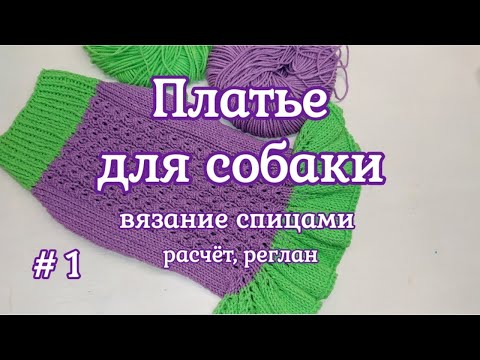 Как связать Платье спицами ″Лаванда″ для собак и кошек