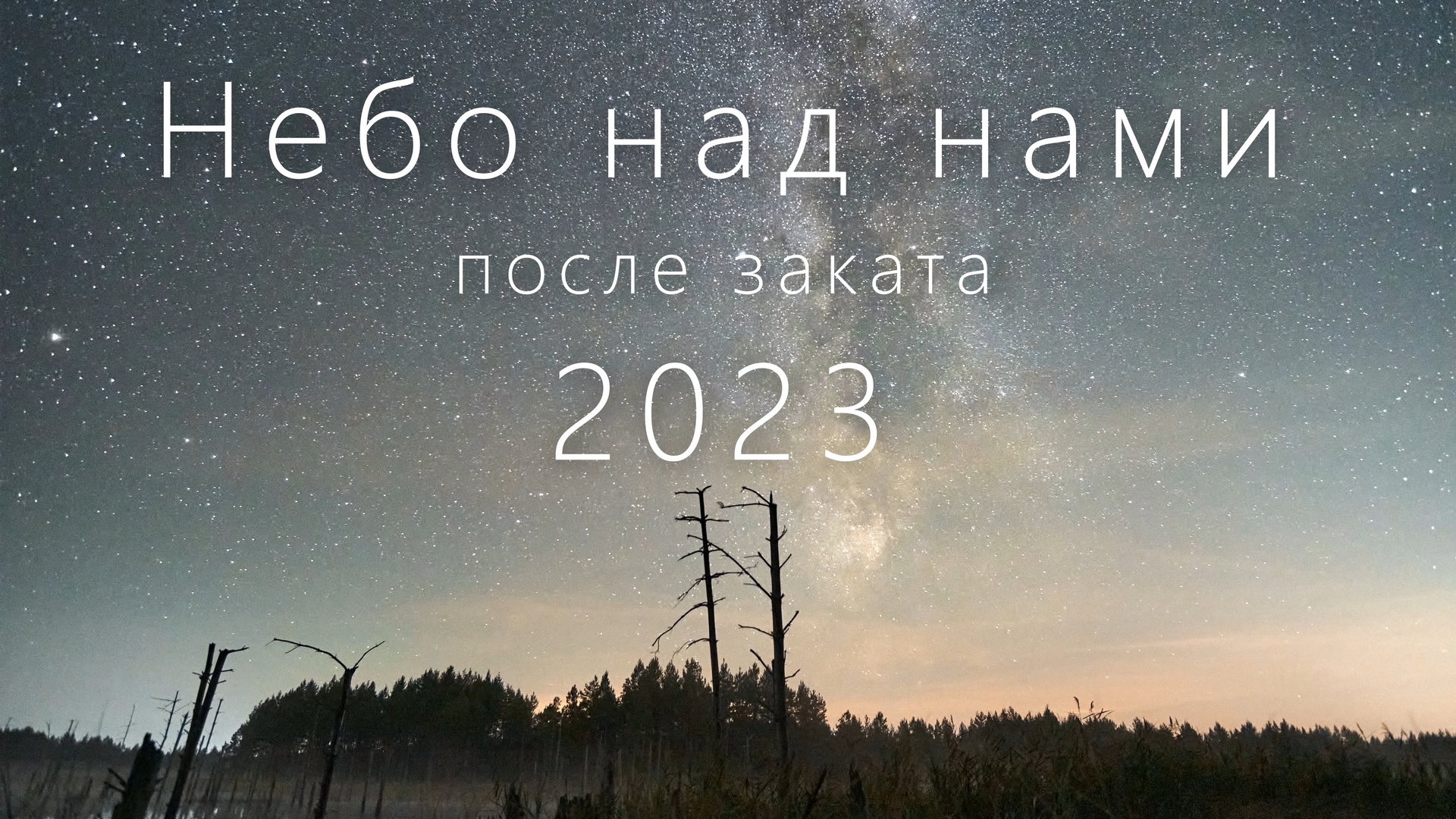 2023 год