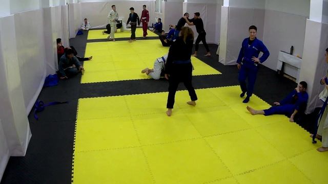 DARKSIDE BJJ Tours