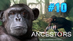 Ancestors: The Humankind Odyssey прохождение