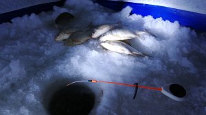 Зимняя рыбалка 2022-2023