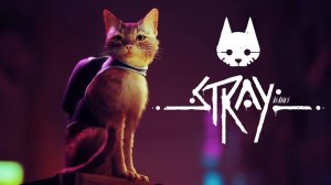 Stray | Прохождение