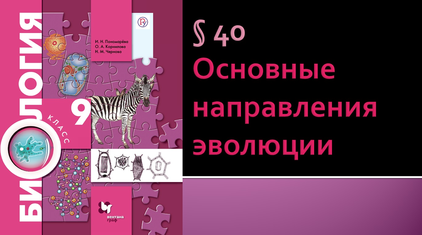 Биология 9 класс – смотреть онлайн все 40 видео от Биология 9 класс в  хорошем качестве на RUTUBE