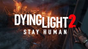 Серия игр Dying Light