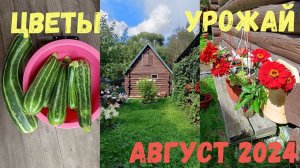 Рецепты