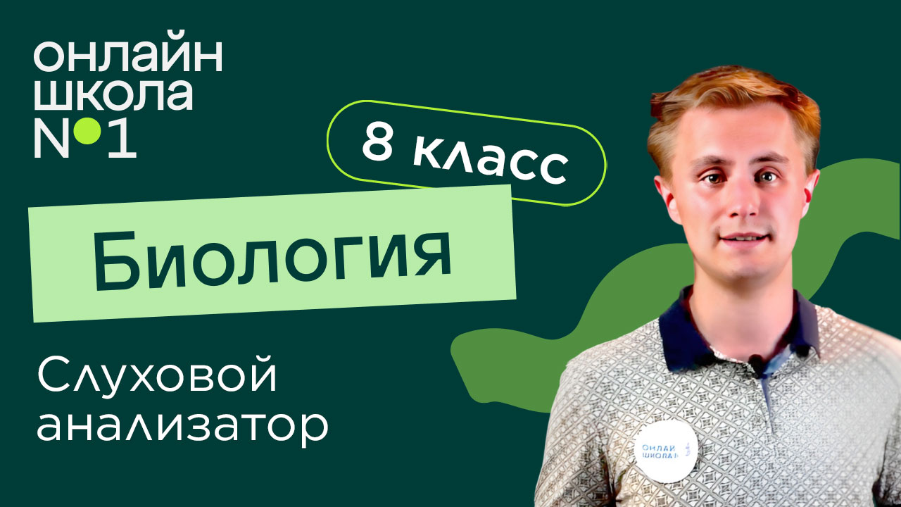 Биология 8 класс