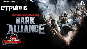 Dungeons &amp; Dragons: Dark Alliance