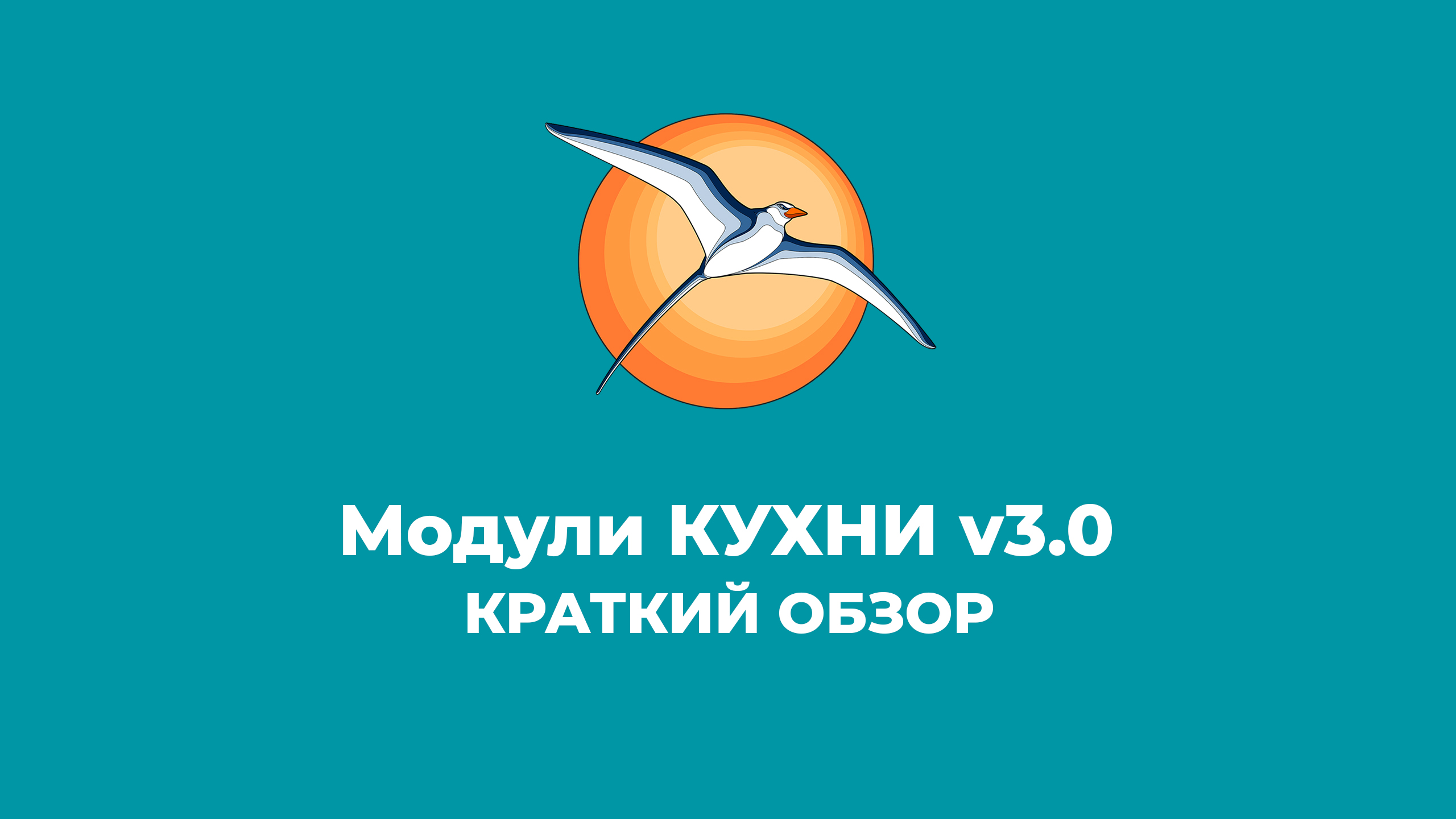 Модули КУХНИ v3.0