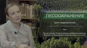 Проект - цикл видеороликов «Лесоохранение» (автор проекта - Чибидин А.С.)