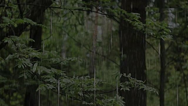Шум дождя