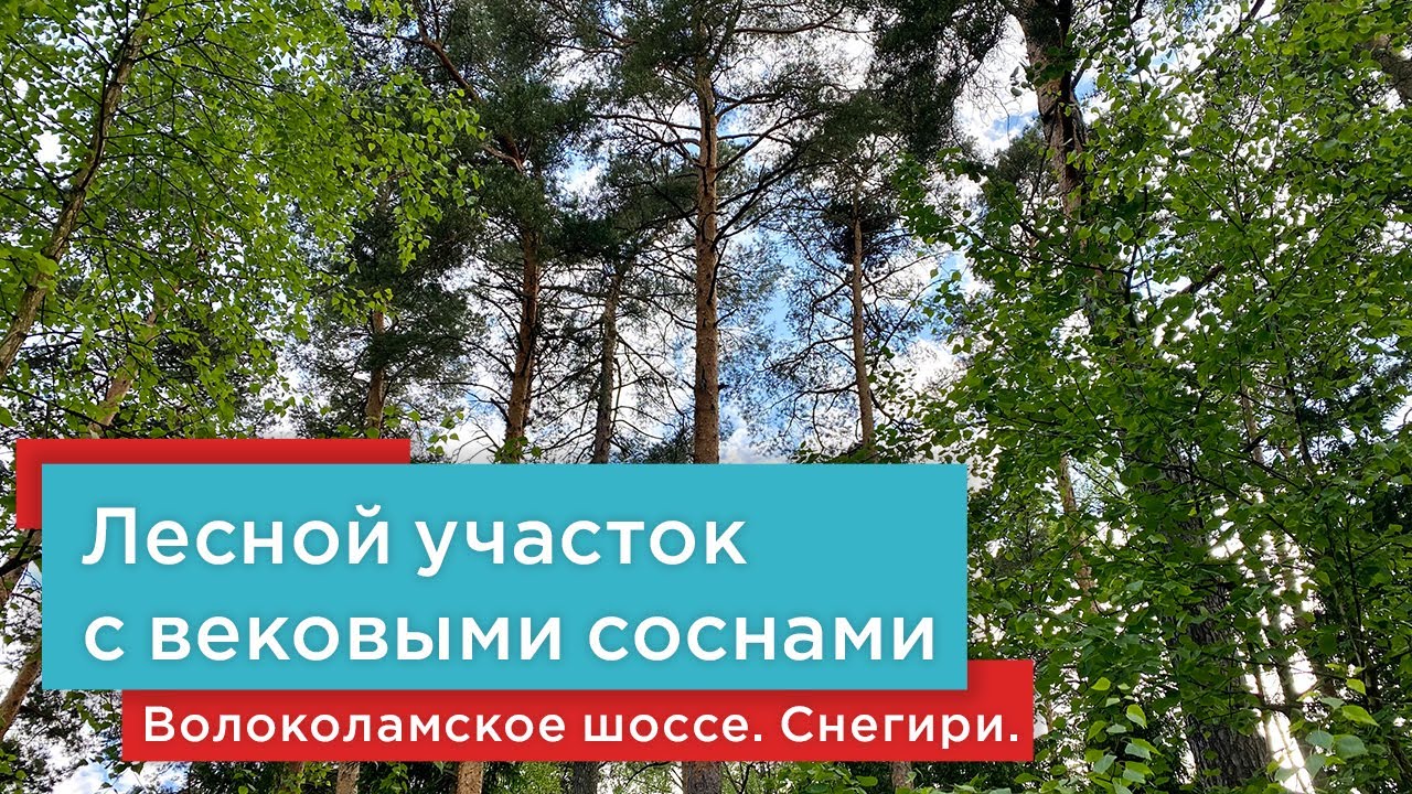 Лесные участки на Новорижском шоссе
