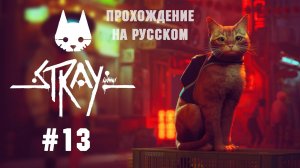 🎮 Stray 🐈