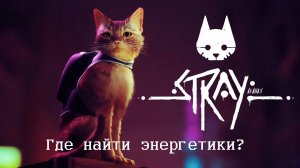 Stray