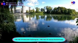 ТИК ТАК - 39 секунд Калининград