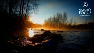 Ручьи и Реки в лесах. Звуки природы