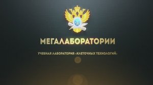 Мегалаборатории