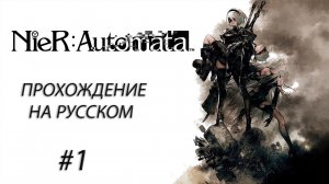 NieR: Automata